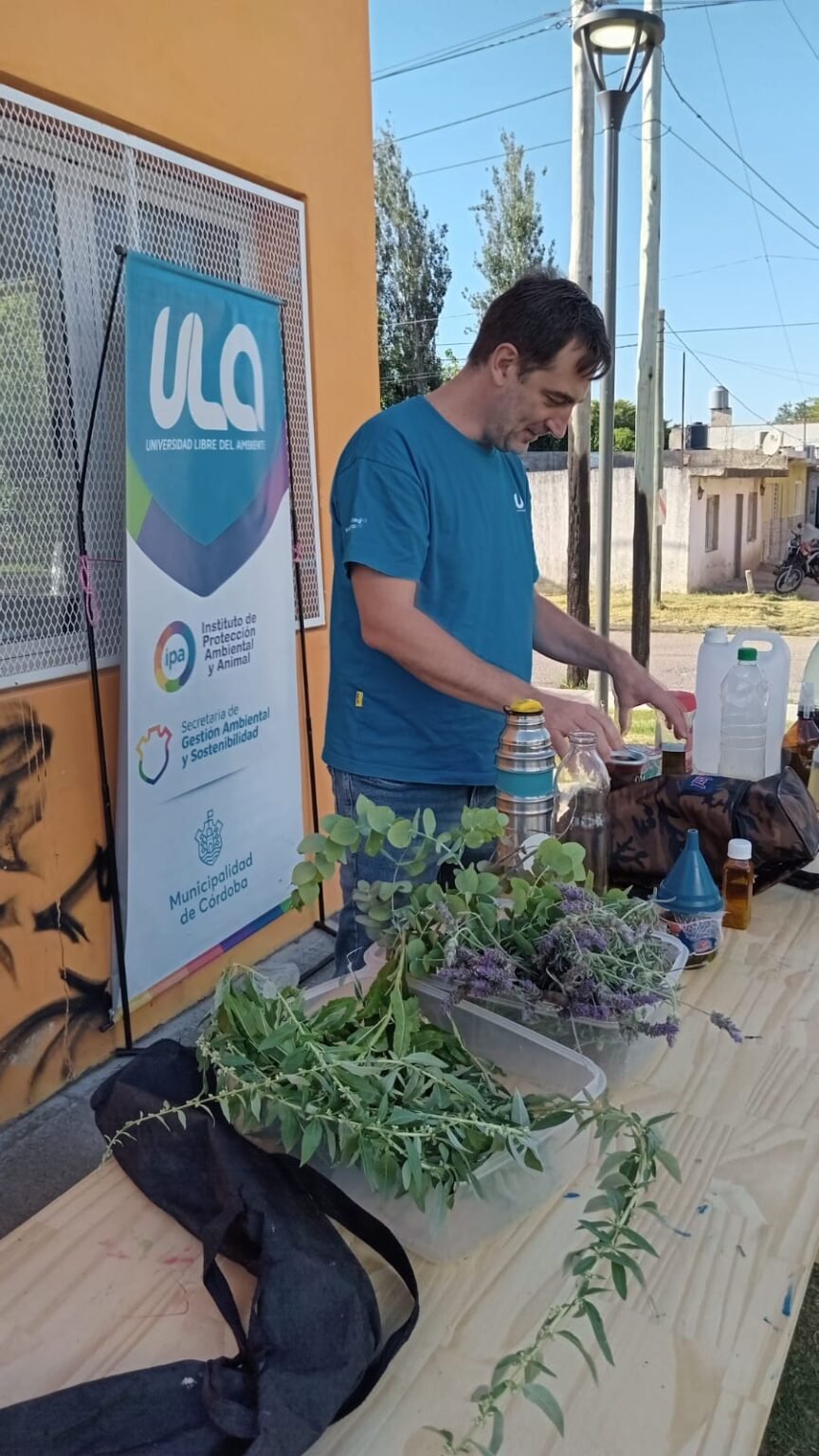Cómo hacer un repelente para mosquitos casero con ingredientes naturales